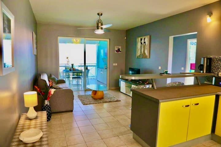 Superbe Et Spacieux Appartement - Guadeloupe