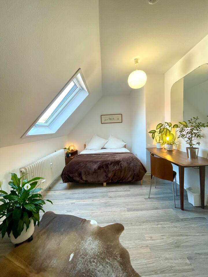 Quiet Room In Shared Apartment At Town's Center - Aschaffenburg