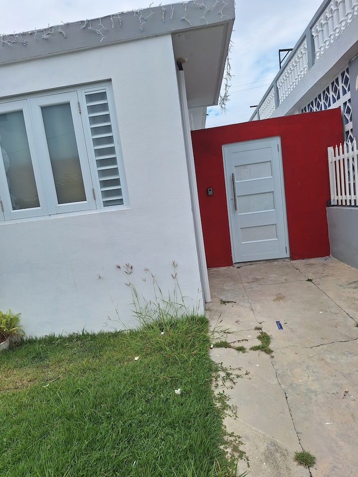 Arelis Confort - Carolina