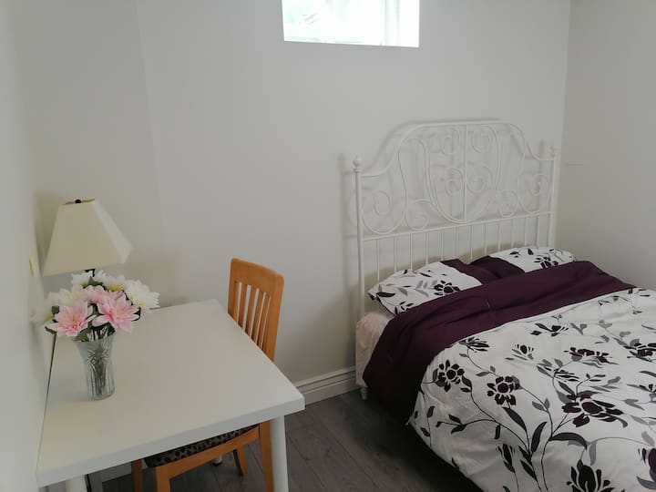 Almost Brand New Basement One Bed Room - Niagara Falls