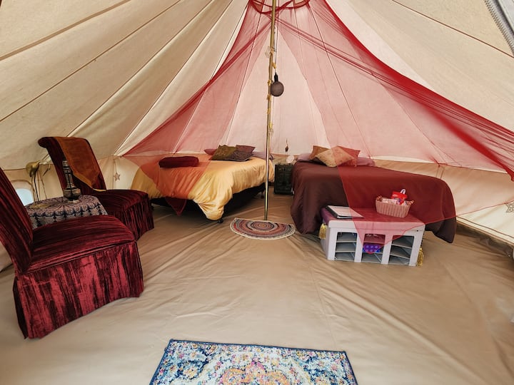#Y7 Whole New World- 2 Dbl Beds-no Pets Please - Drumheller
