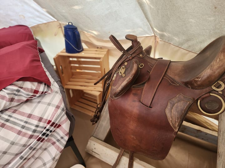 #Y6 Wild West- 2 Dbl Beds- Pet Friendly - Drumheller