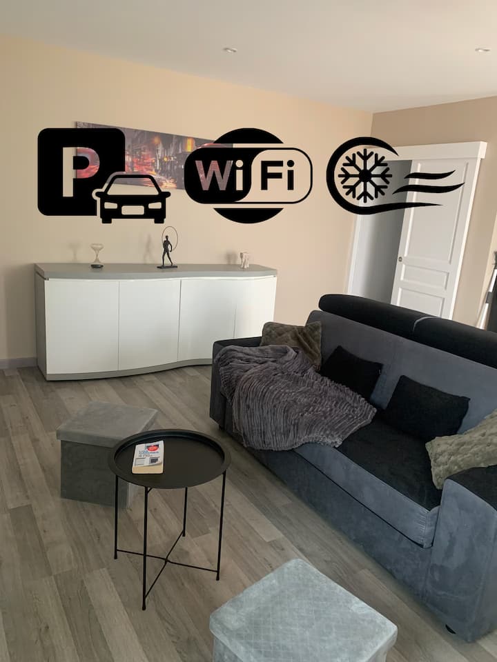 Standing, Parking Privé, Climatisation , Top ! - Groupama Stadium - OL