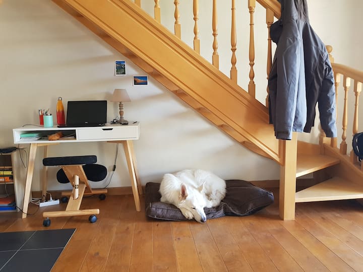 Petite Maison Plain-pied Cachée Dans La Ville - Lons-le-Saunier