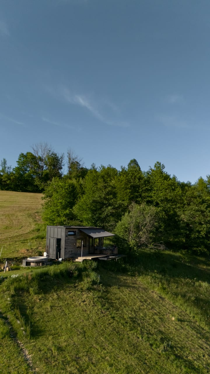 Dyno Tiny House Coniferis - Șuncuiuș