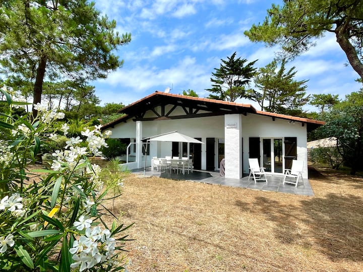 44ha Proche Mimbeau, Emplacement Idéal - Cap Ferret
