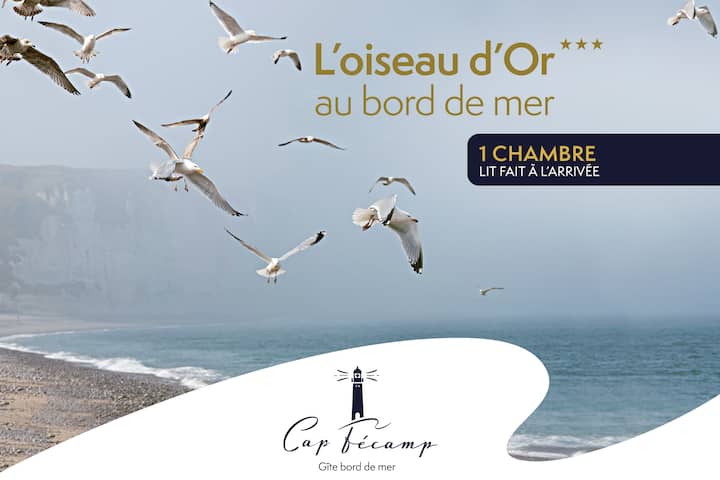 Cap Fecamp Bâbord - L'oiseau D'or Au Bord De Mer - Seine-Maritime