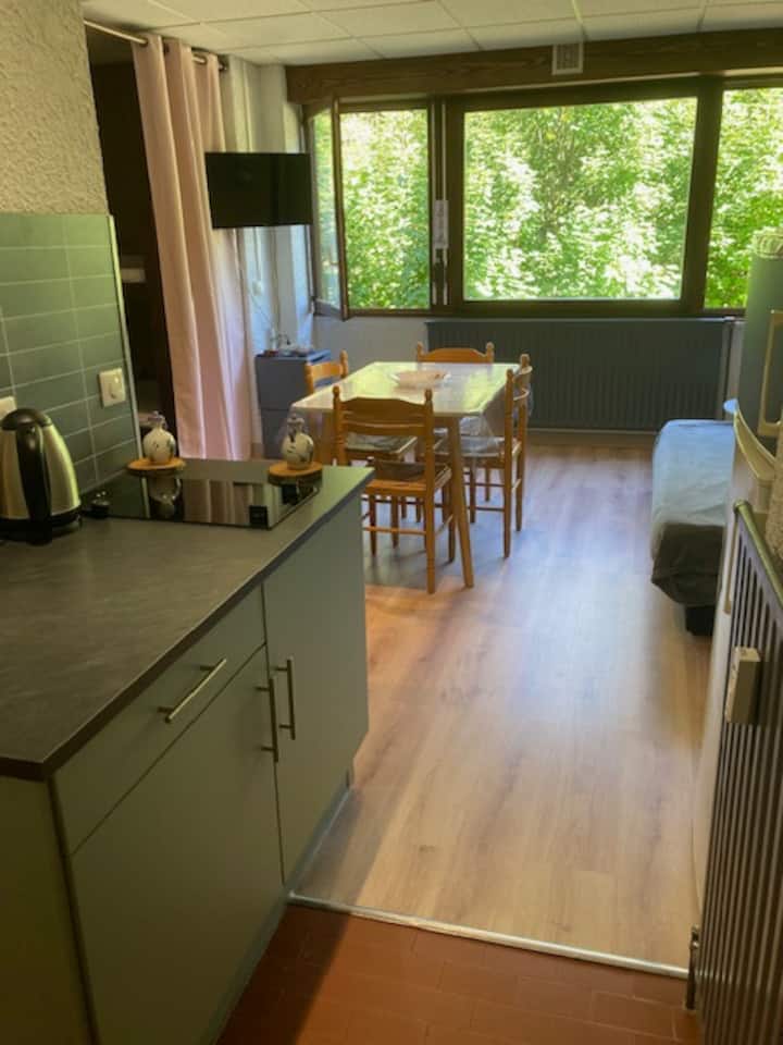 Studio à Louer Dans Immeuble - Aillon-le-Jeune