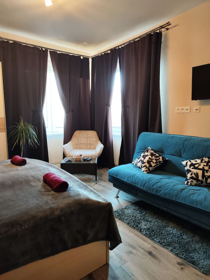 Spacious Apartments In A Quiet Part Of The City - Donovaly