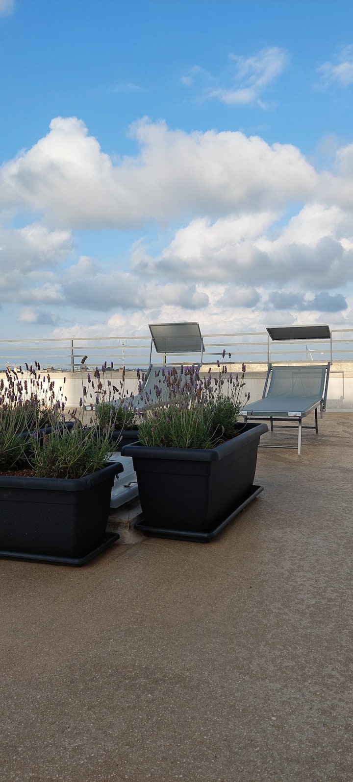 Terrasse Vue Mer, 3 Chambres, 2 Salles D’eau. - Carovigno