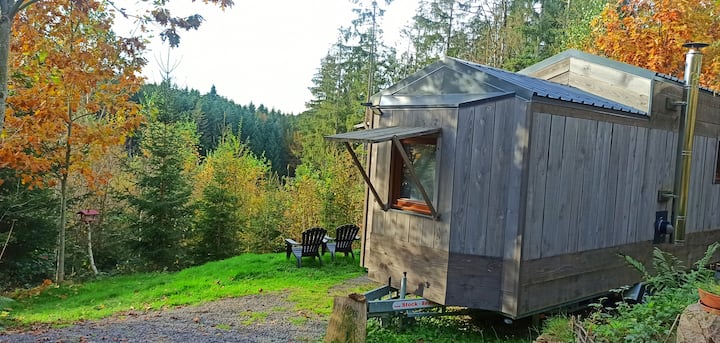 La Tiny House Dans La Forêt Des Vosges - Black Forest