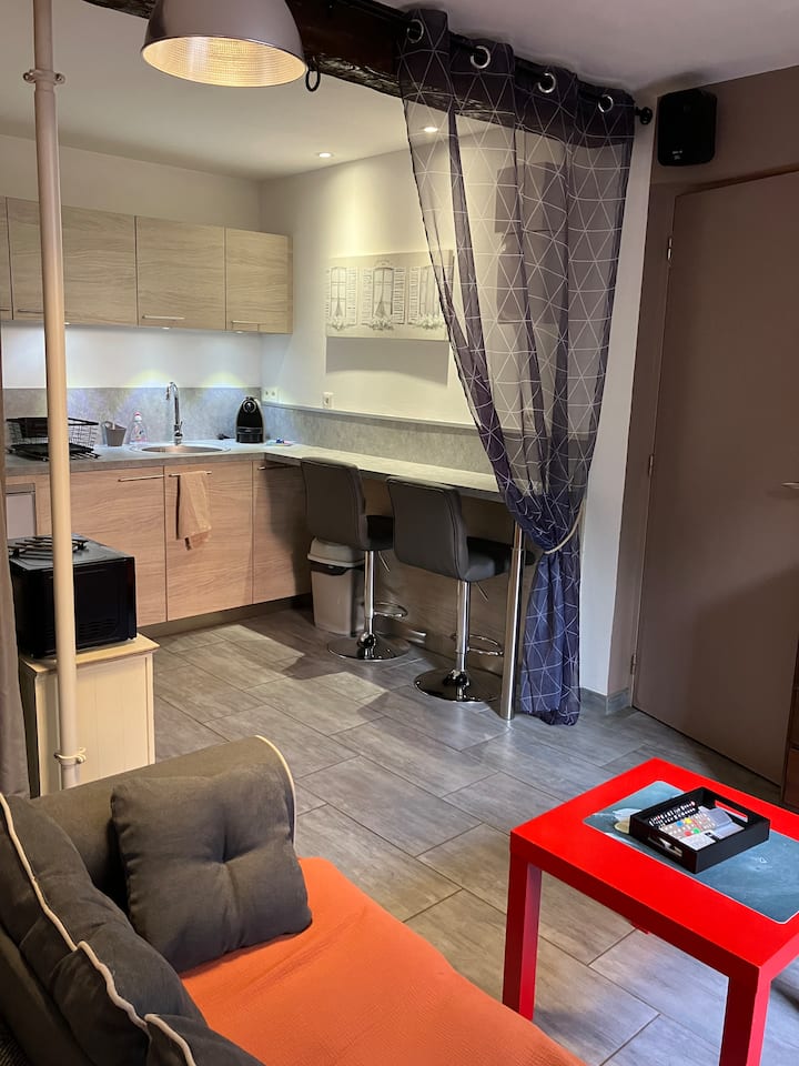 Studio Cosy Et Calme Toulouse Centre - Toulouse