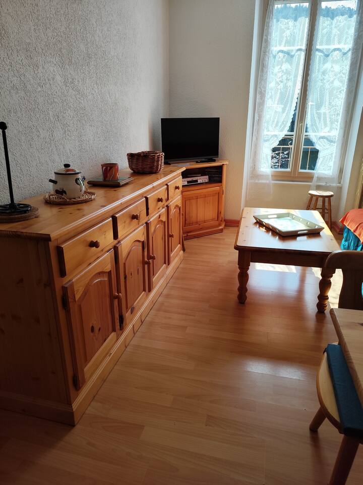 Logement Proche Du Centre-ville, 4 Personnes + 1bb - Puy de Sancy