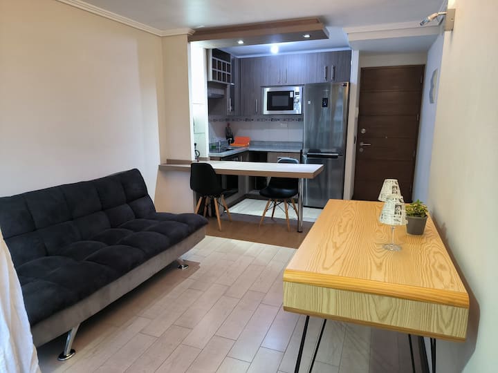 Depto En El Corazón De La Ciudad - Santiago