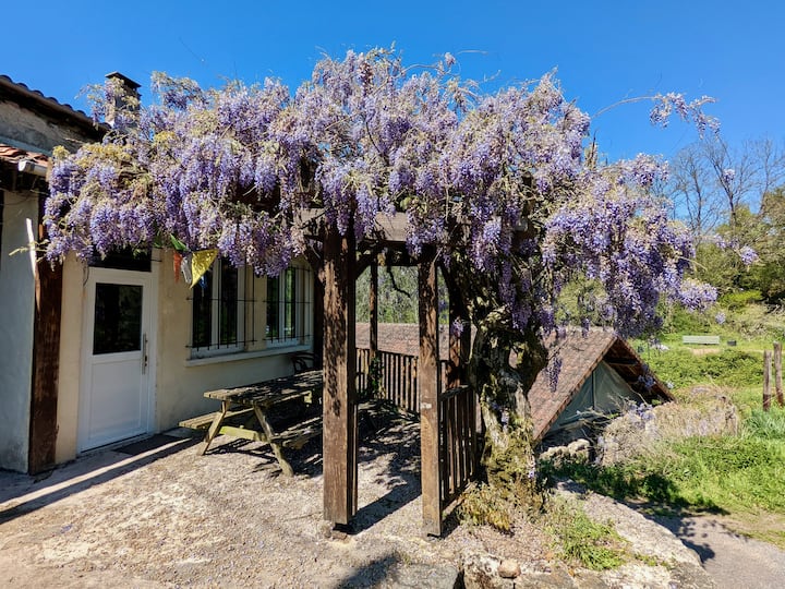 Le Moulin De La Chabroulie - Limousin
