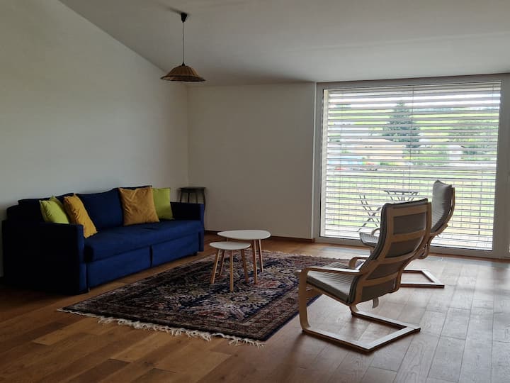 Bel Appartement Très Bien Situé - Fribourg