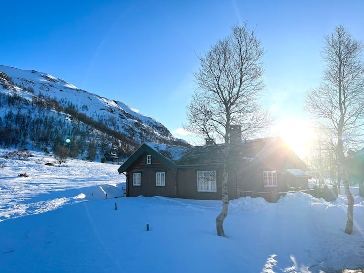 Skjermet Hyttetun I Fantastisk Fjellandskap. - Norway