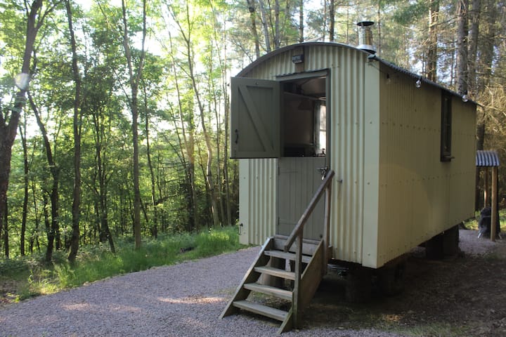 Tranquil Woodland Shepherd's Hut Near Ross-on-wye - Forest of Dean