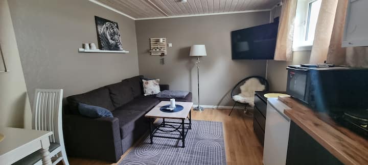 Hybelleilighet I Kjeller Med Egen Inngang, 1 Roms. - Alta