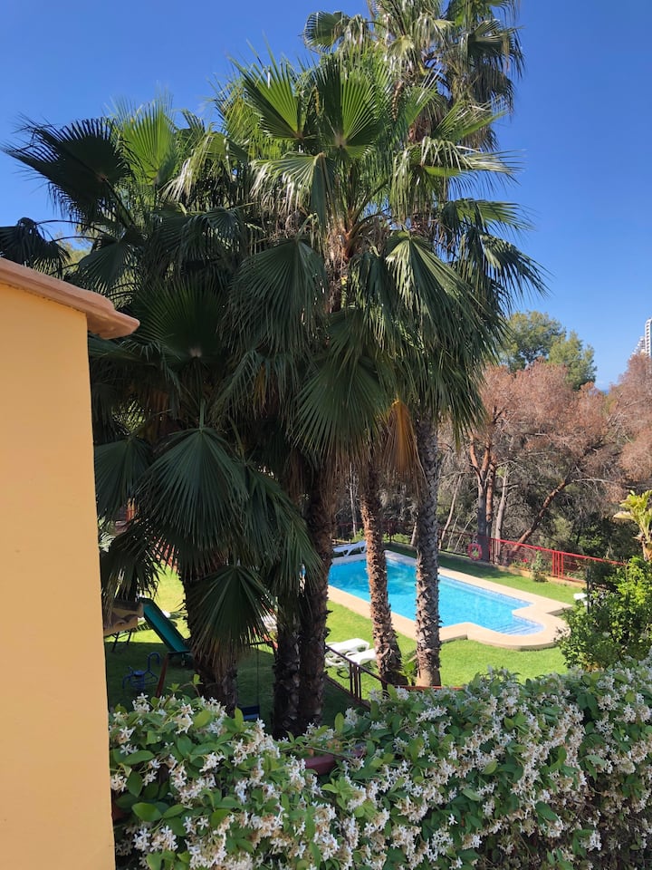 Apartamento En Benidorm Nivel Piscina - Benidorm