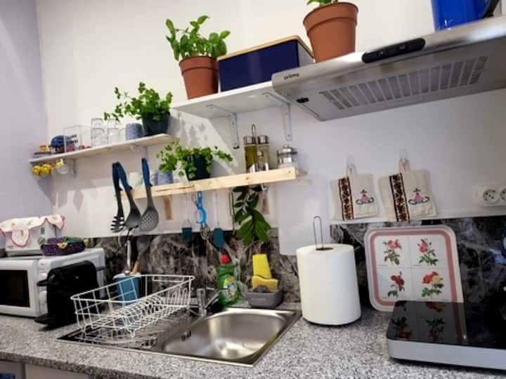 Chambre Bleue-wc- Cuisine Privée (Pas De Partage) - Caldas da Rainha