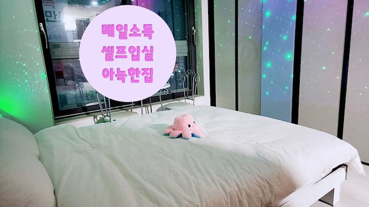 핑크#매일방역#중앙로#관광#핫플#출장#스타비앤비#한달#아늑한#가족#커플#시티투어#일주일살기 - Daegu