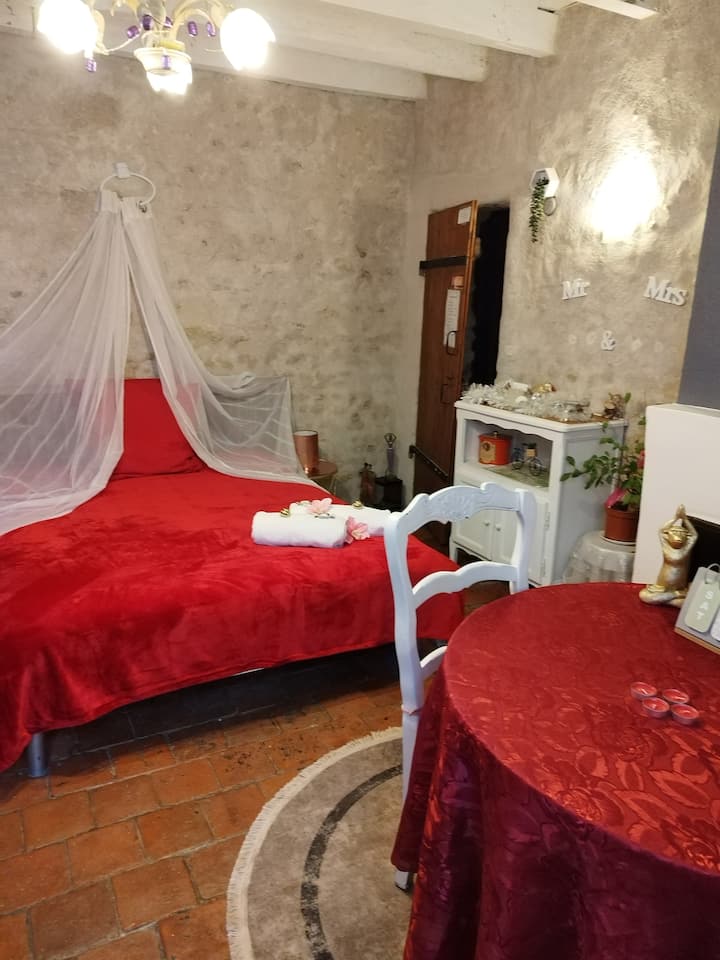 2 Chambres Grand Jardin Terrasse Paradise - Châteauneuf-sur-Loire