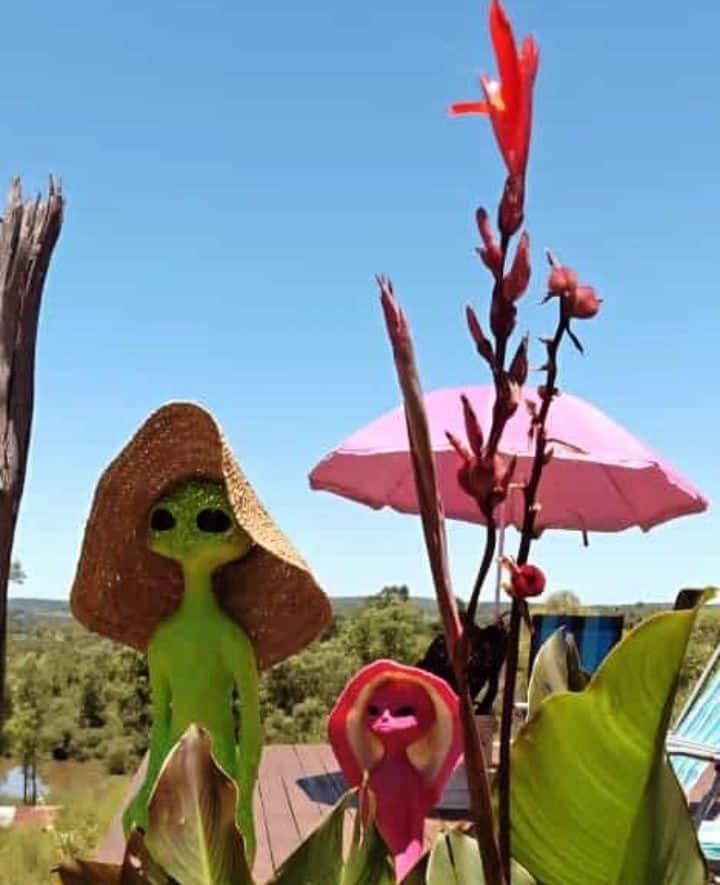 Buena Vista - Artigas