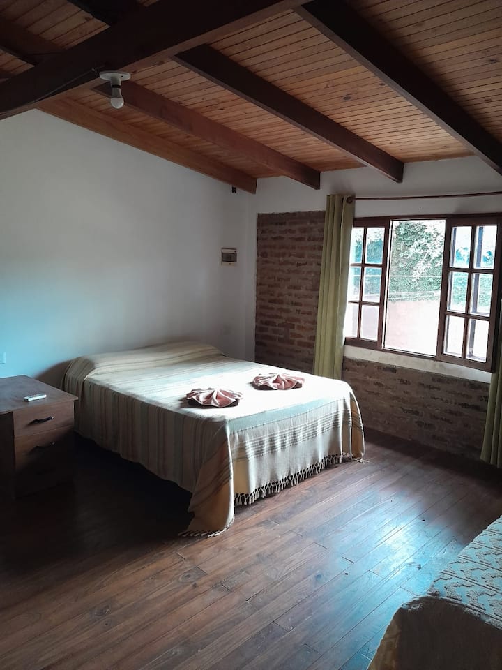 Loro Negro 4 - Puerto Iguazú