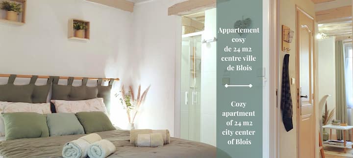 Blois City - Le Petit Saint Jean - Blois