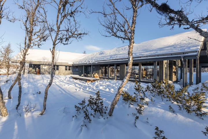 Unik, Lekker Og Solrik Hytte, Rauland. 5 Sov+sauna - Norway