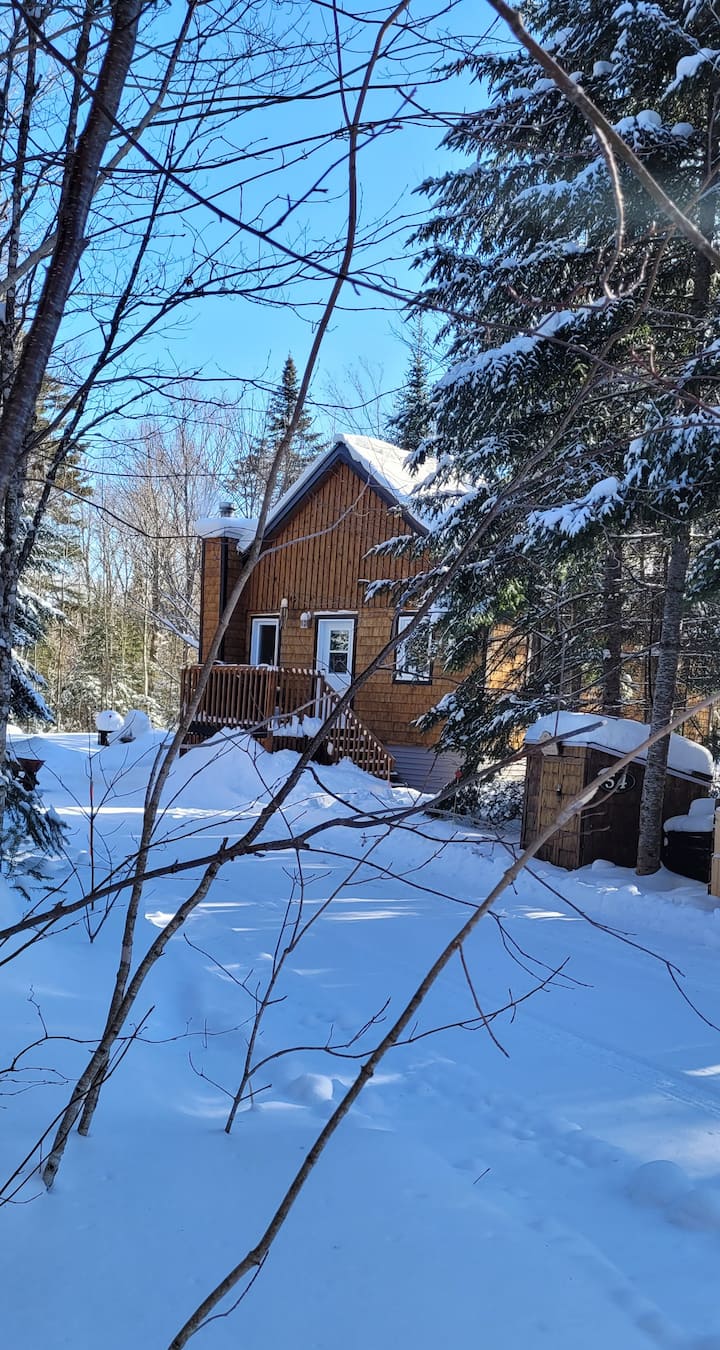L'institut De Cabanologie - Quebec