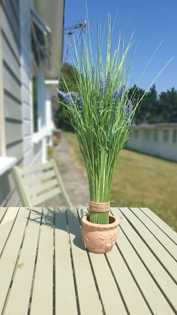 Chalet, Close Dartmouth & Golf Club, Pet Friendly! - Dartmouth