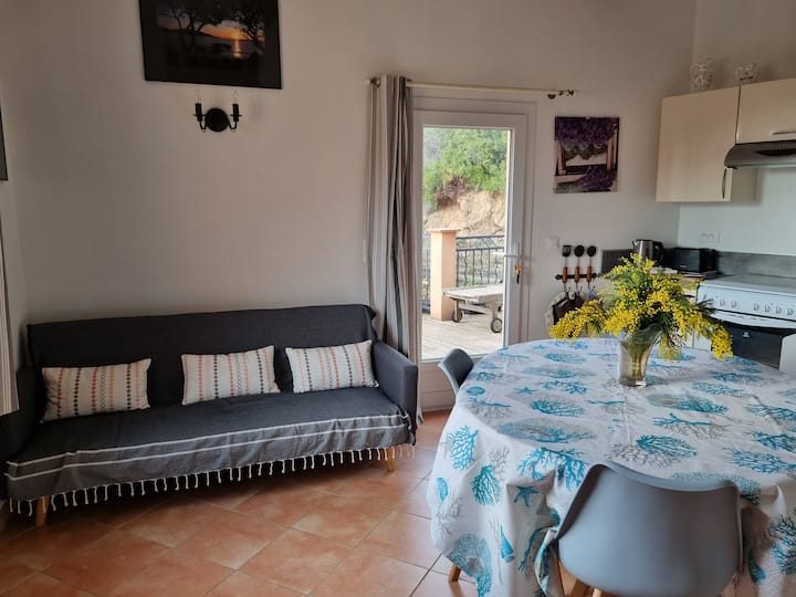 T3 Classée 3* Climatisé Dans Maison Avec  Jardin - Le Lavandou