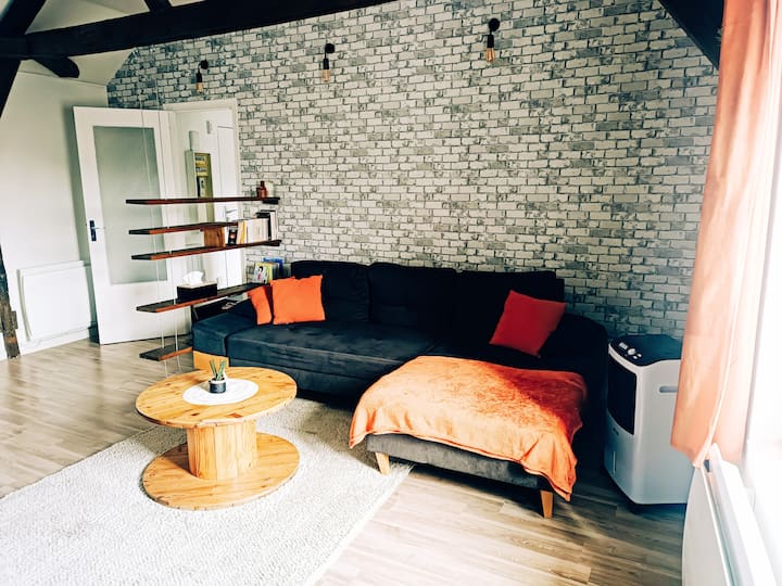 Chaleureux Appartement Dans Le Vieux Blois - Vineuil