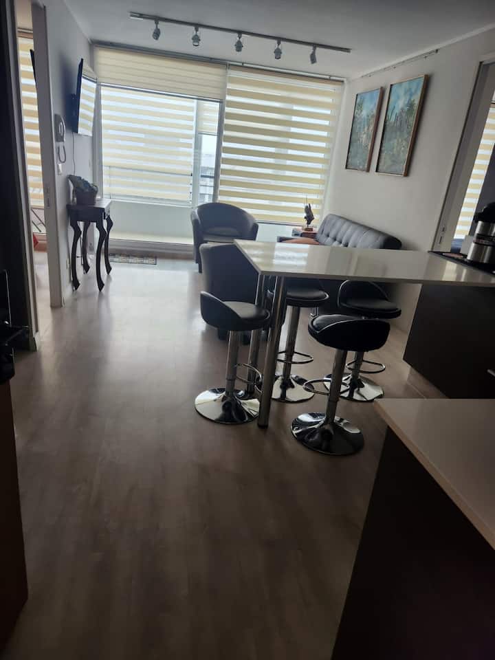 Departamento Puerto Varas. - Puerto Varas