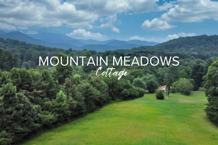 Hiddenspeakeasy, Hottub, Sauna, Biltmore 15 Min - Asheville, NC