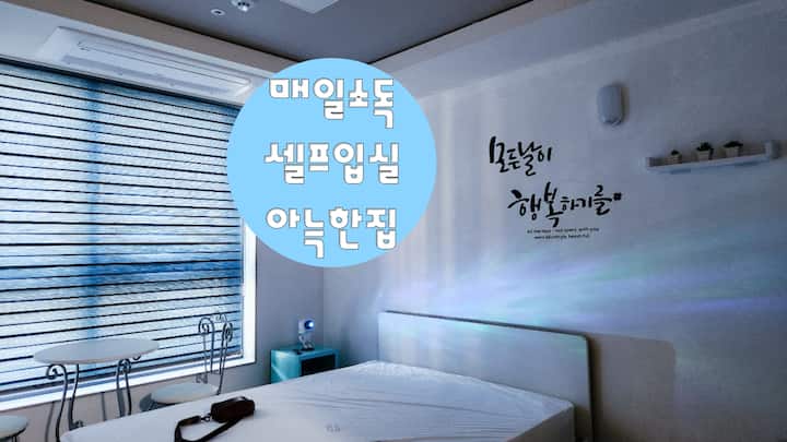 블루#매일방역#셀프입실#아늑한#동성로#시내#감성#할인#깨끗한#중앙로#출장#한달살기#편안한 - Daegu