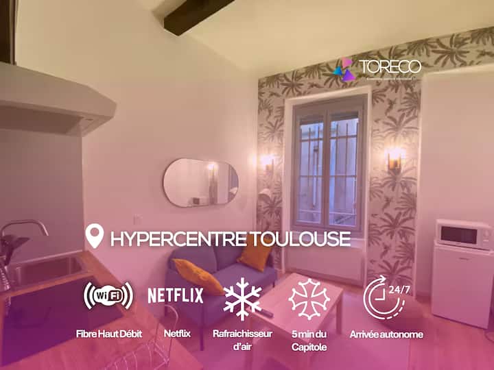 Appartement Cosy Proche Capitole & Place Wilson - Toulouse