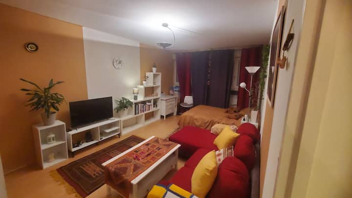 Chez Une Petite éTudiante En Art - Strasbourg