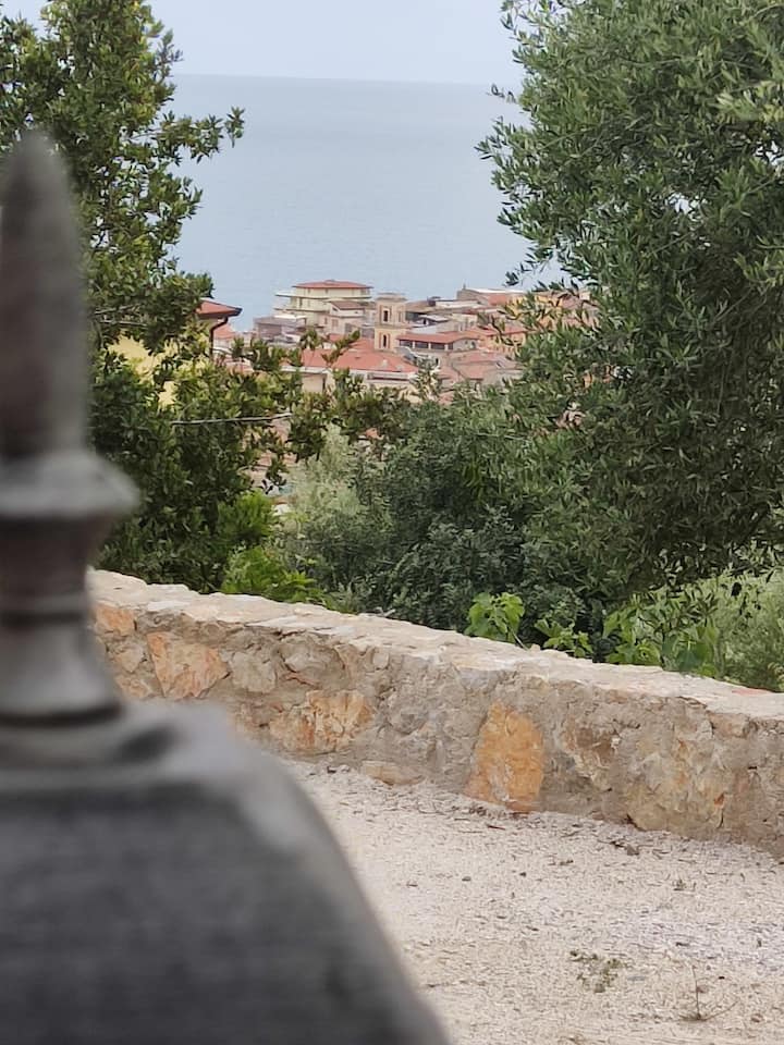 Domus Olea: Appartamento Panoramico - Marina di Camerota