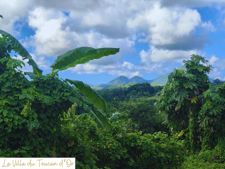 La Villa Du Toucan D'or, Au Cœur De La Guadeloupe - Guadeloupe