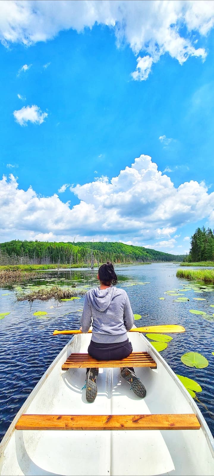 Le Shack: Cozy -Privé -Relaxant -Canoës -Lac - Lac-Simon