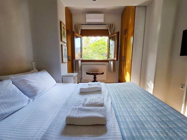 Center O'clock - Ксанти