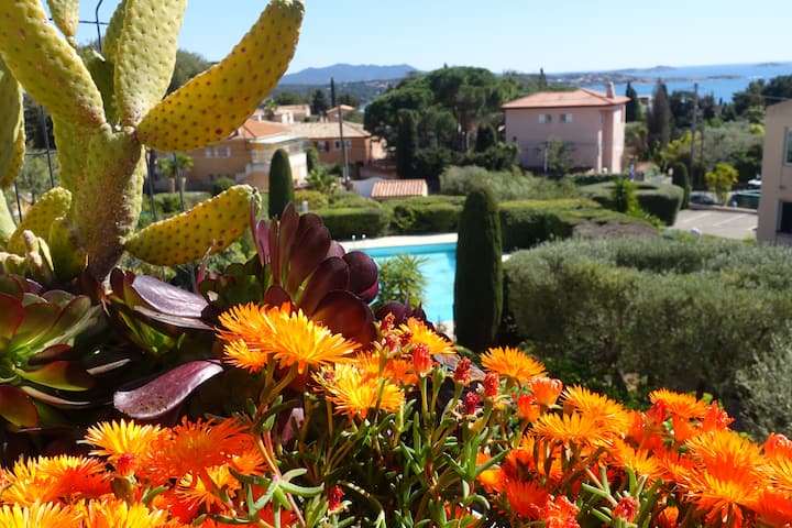 Lumineux, Belle Vue Mer, Piscine, Clim - Bandol
