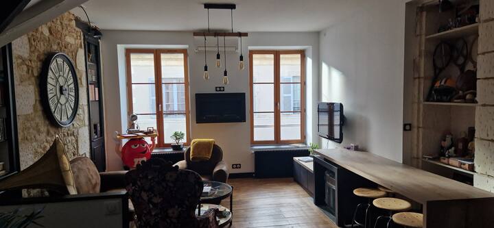 Appartement Atypique Centre Historique De Bourges - Bourges
