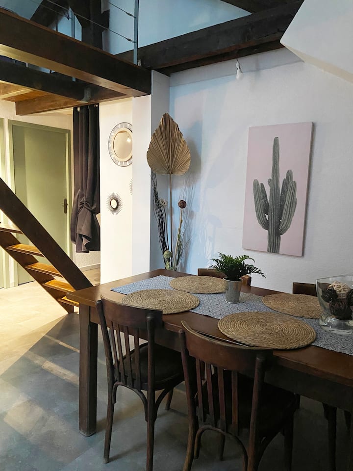 Appartement Atypique De 72m2 - Aix-les-Bains