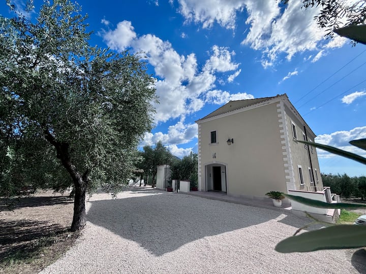 Mont - House Surrounded By Olive Trees - Mattinata