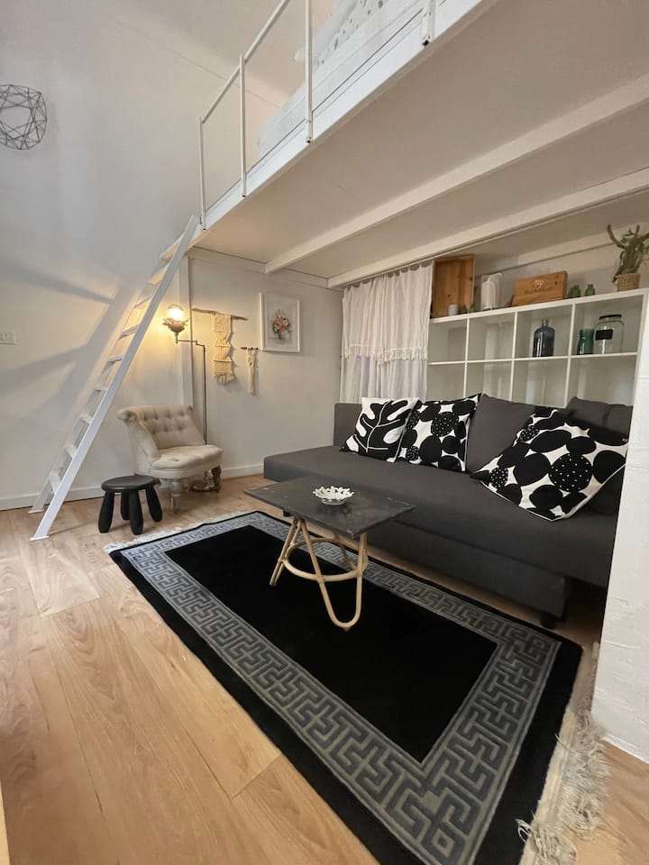 Centre-ville - Musée Matisse, Nice