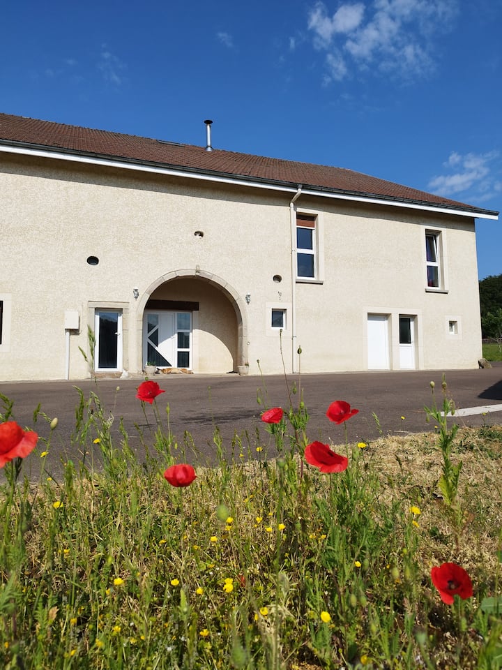 Maison En Campagne De Plain-pied 4 Ch+ 4 Sdbains - Plombières-les-Bains